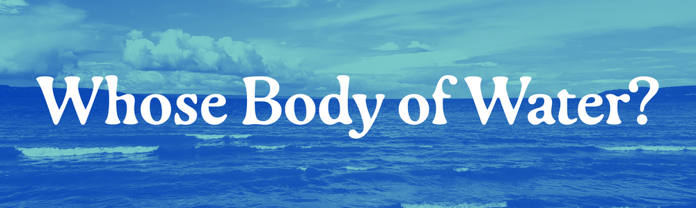 Whose Body of Water? Rights of Nature as Environmental Guardianship for ...